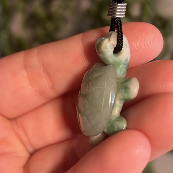 Jewelry | Jade Turtle Necklace | Poshmark